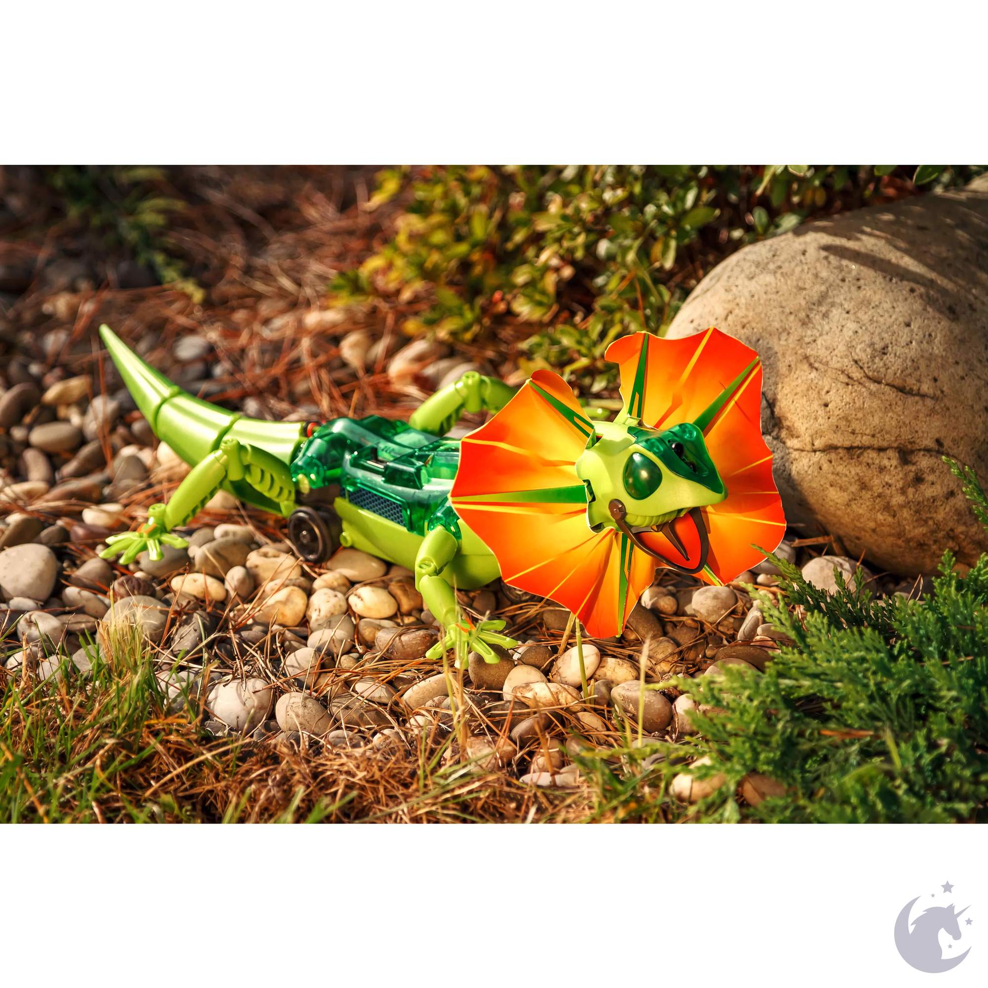 CIC Kits Frilled Lizard Robot Build Your Own Robot Pet STEM Toy 10 ...